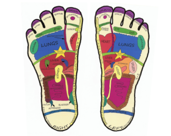 The more you know… « Put Your Best Feet Forward