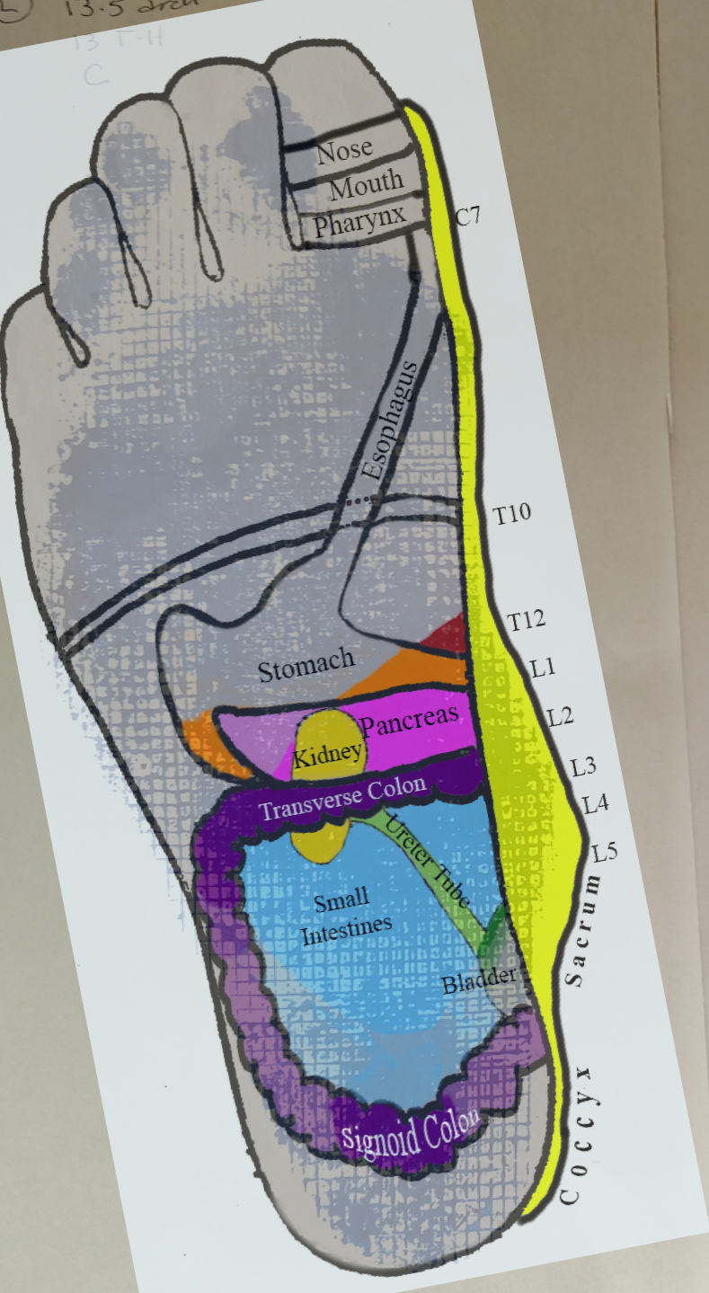 Using an Ink Press to assess for foot problems « Put Your Best Feet Forward