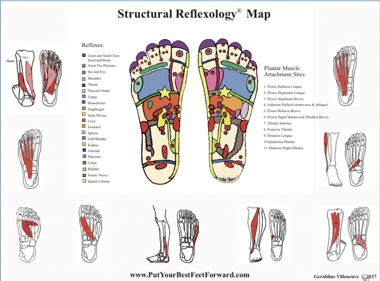 What is Structural Reflexology®? « Put Your Best Feet Forward