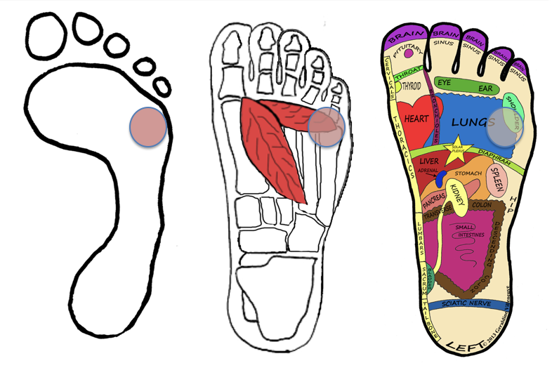 Making Connection between Shoulder Pain and a Foot Callus « Put Your ...